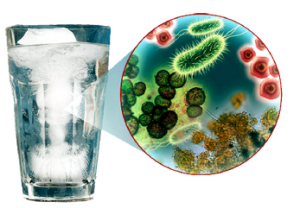 How to Filter Contaminated Water for Drinking Ultimate Guide