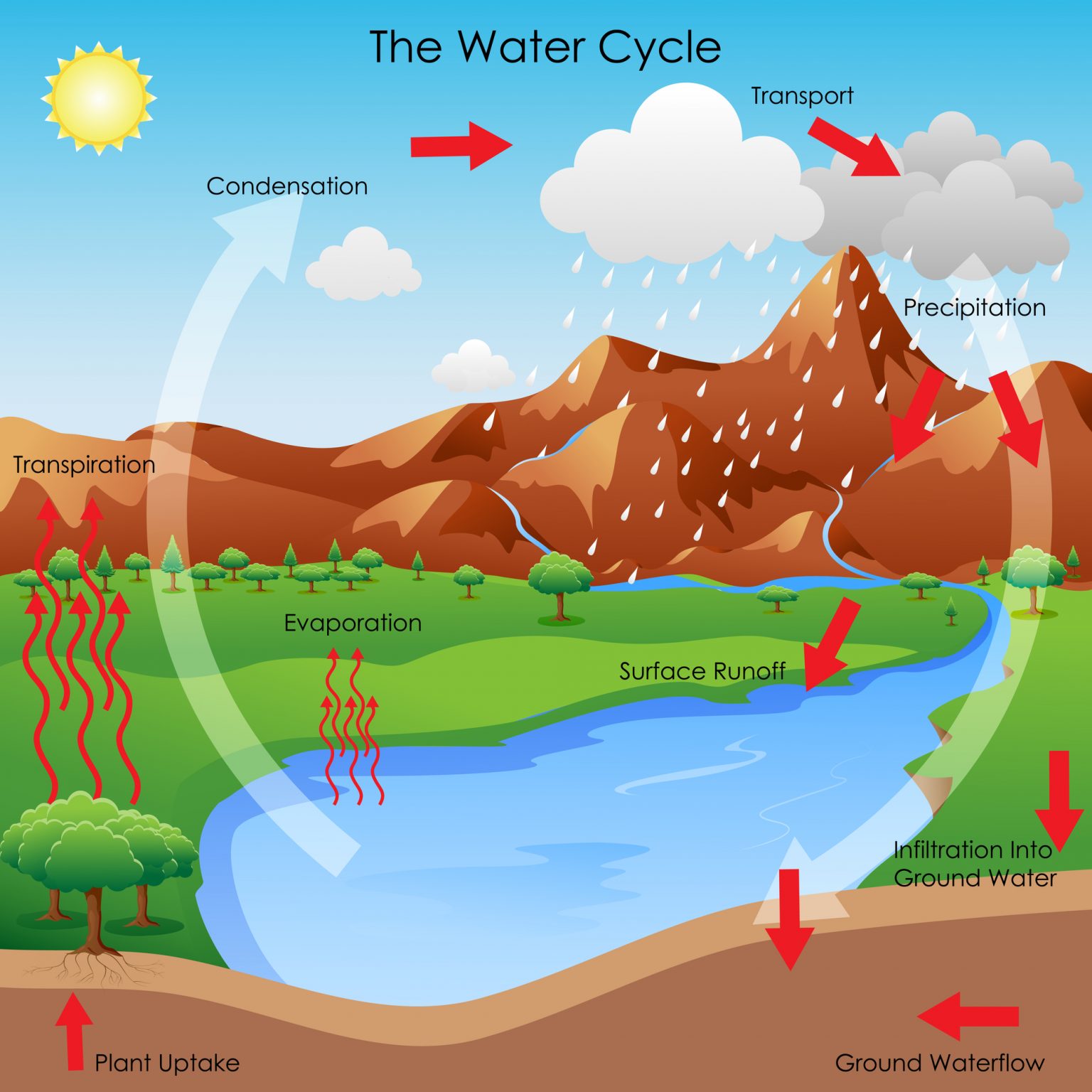 Where Does Your Water Come From? Sources & The Water Cycle