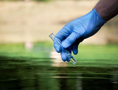 How to Test Your Well Water (Step-By-Step Guide)