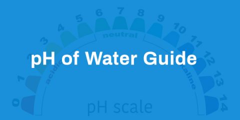 pH of Water- Everything You Need To Know