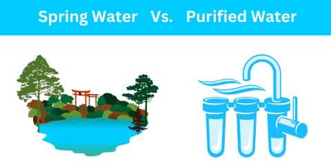 Spring Water vs Purified Water - Should You Be Drinking Spring Over ...