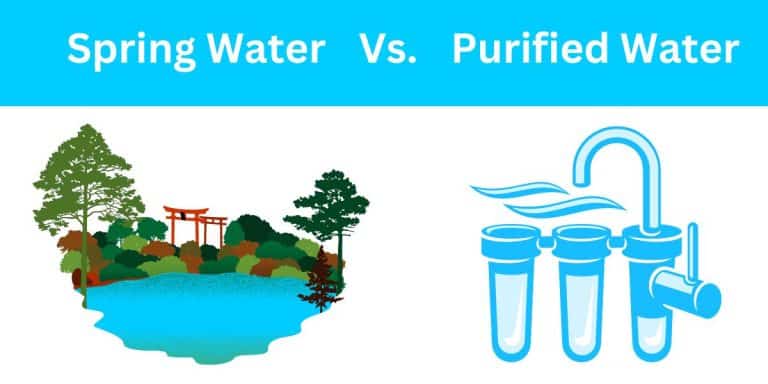 Spring Water vs Purified Water - Should You Be Drinking Spring Over ...