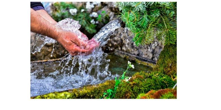 Spring Water vs Purified Water - Should You Be Drinking Spring Over ...